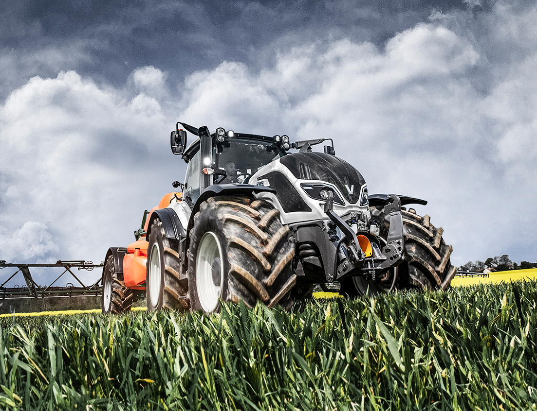 TCE საქართველო